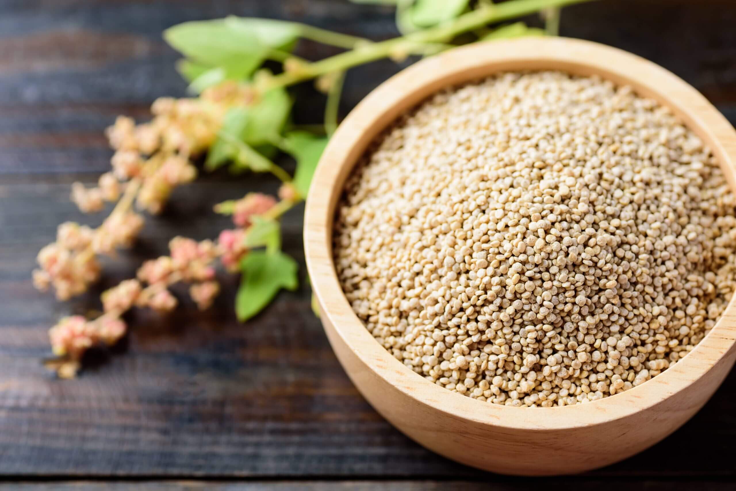 Quinoa plant: Explore the power of our super grain powder