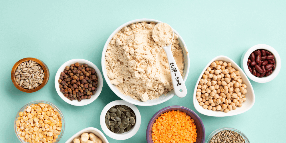 Exploring the roles of proteins and the different types of protein